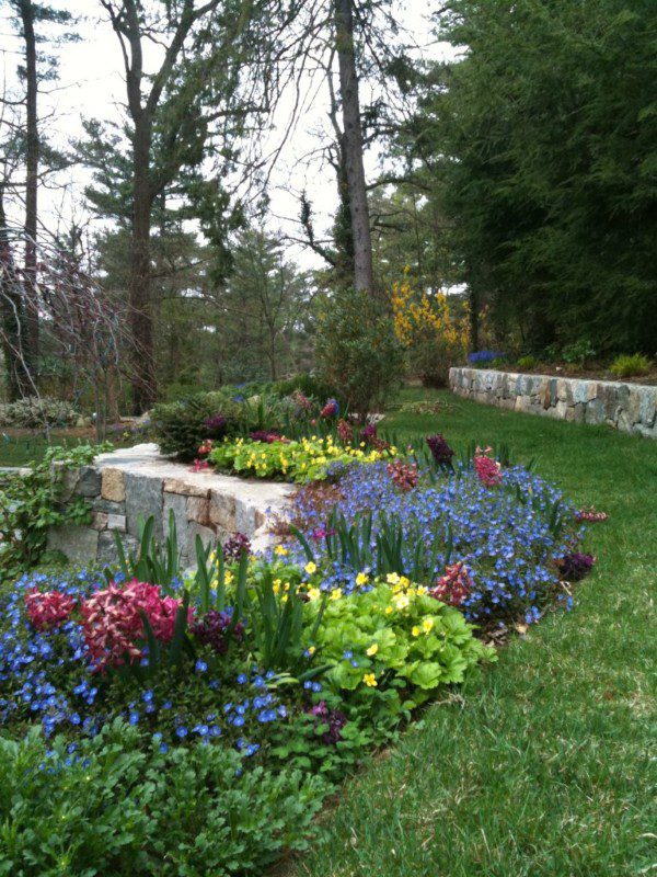 Color in the Garden – Terrascapes