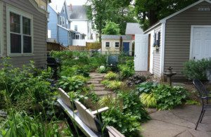 Design for Small Yards & Outdoor Spaces – Terrascapes