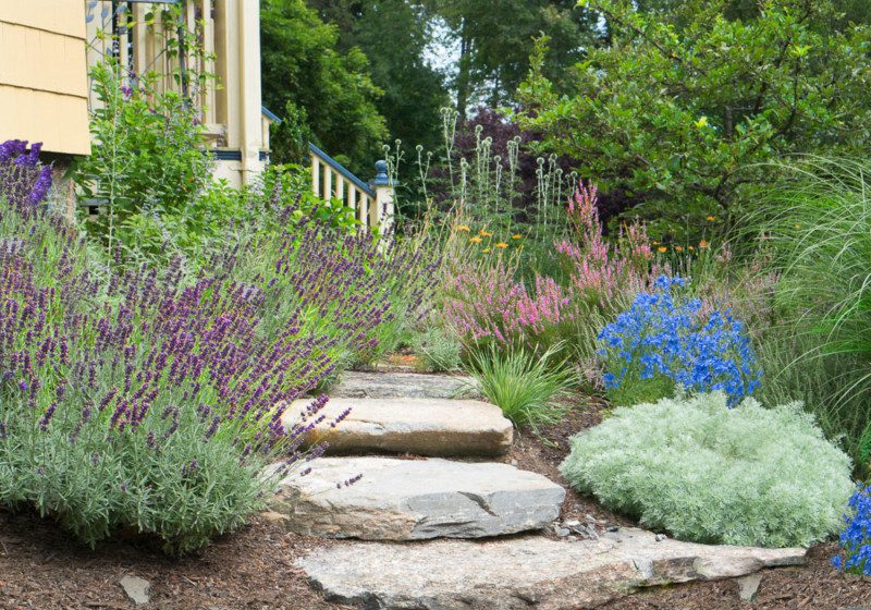 Landscape Design & Installation Services – Terrascapes