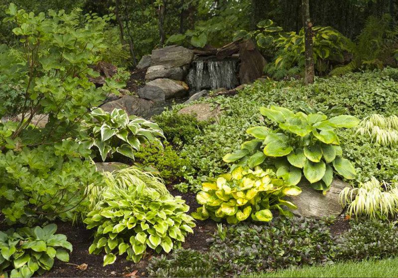 Landscape Design & Installation Services – Terrascapes