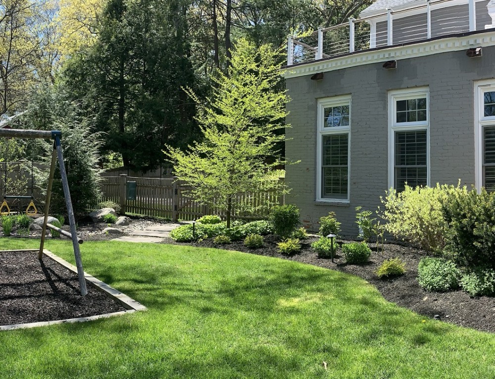 Small City Gardens – Terrascapes